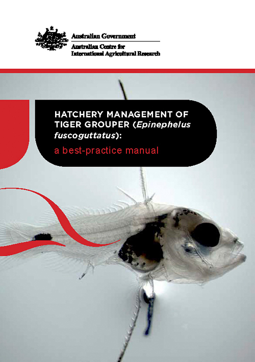 Hatchery management of tiger grouper (Epinephelus fuscoguttatus): A ...