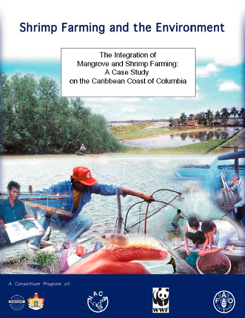 The integration of mangrove and shrimp farming: A case study on the ...