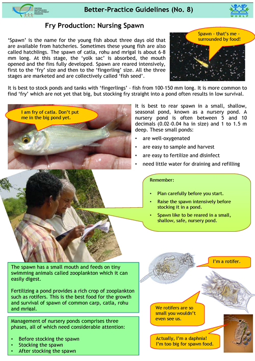 Better practice guidelines: Fry production - nursing spawn