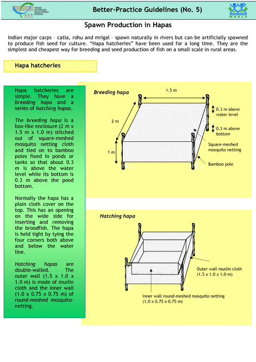 Better practice guidelines: Spawn production in hapas