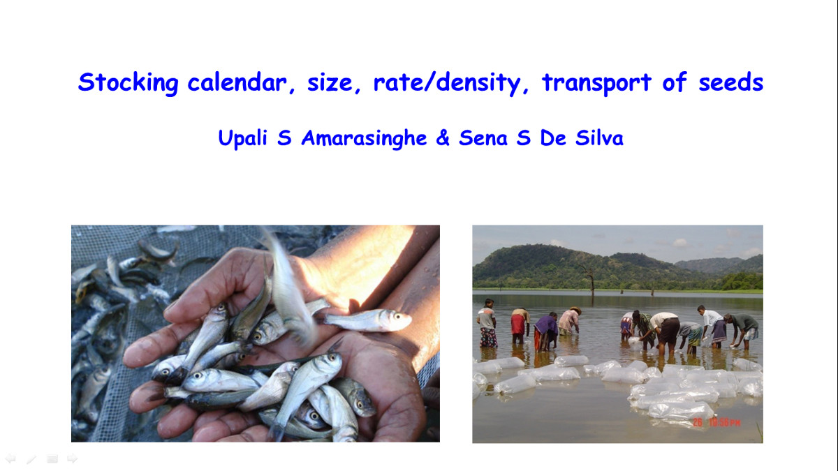 Stocking calendar, size, density and transport of seed