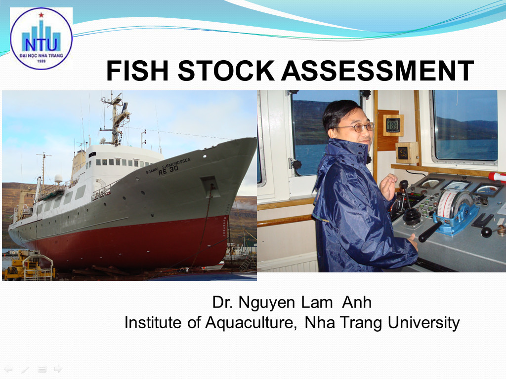 Stock assessment and practical procedures