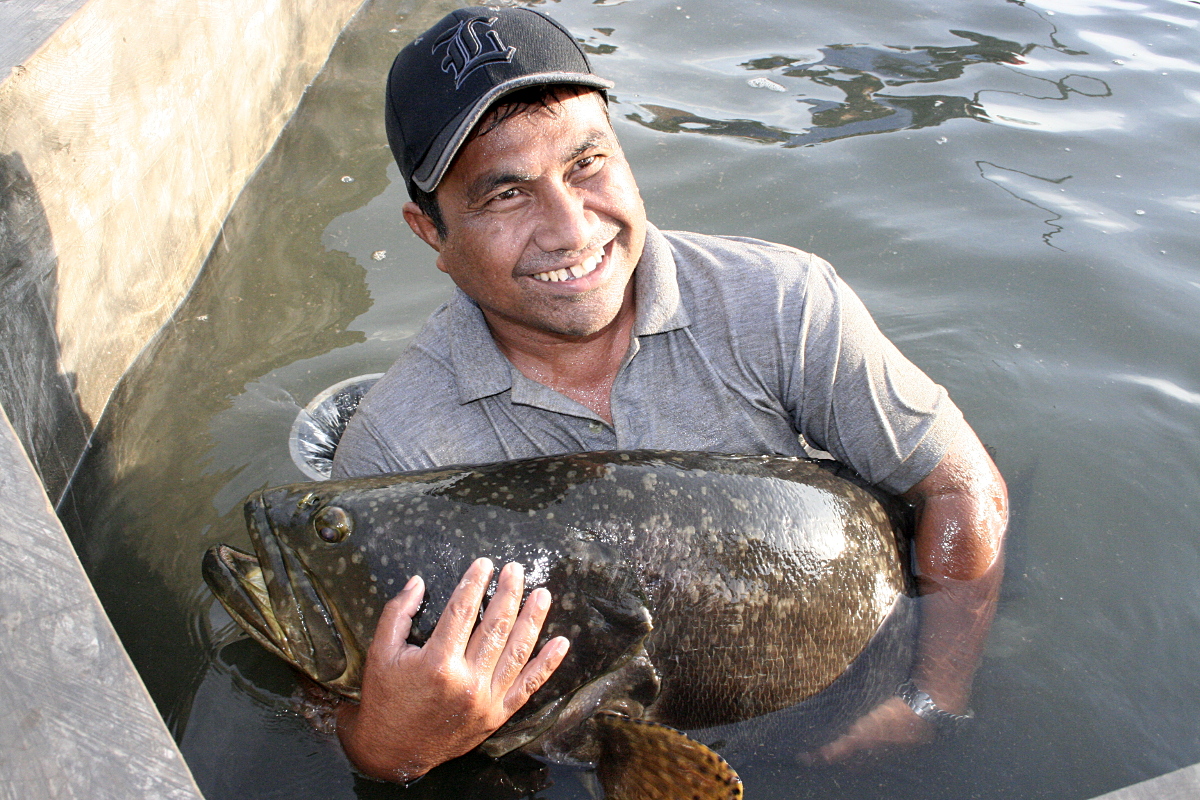 Training Course on Marine Finfish Seed Production and Grow-out, Thailand