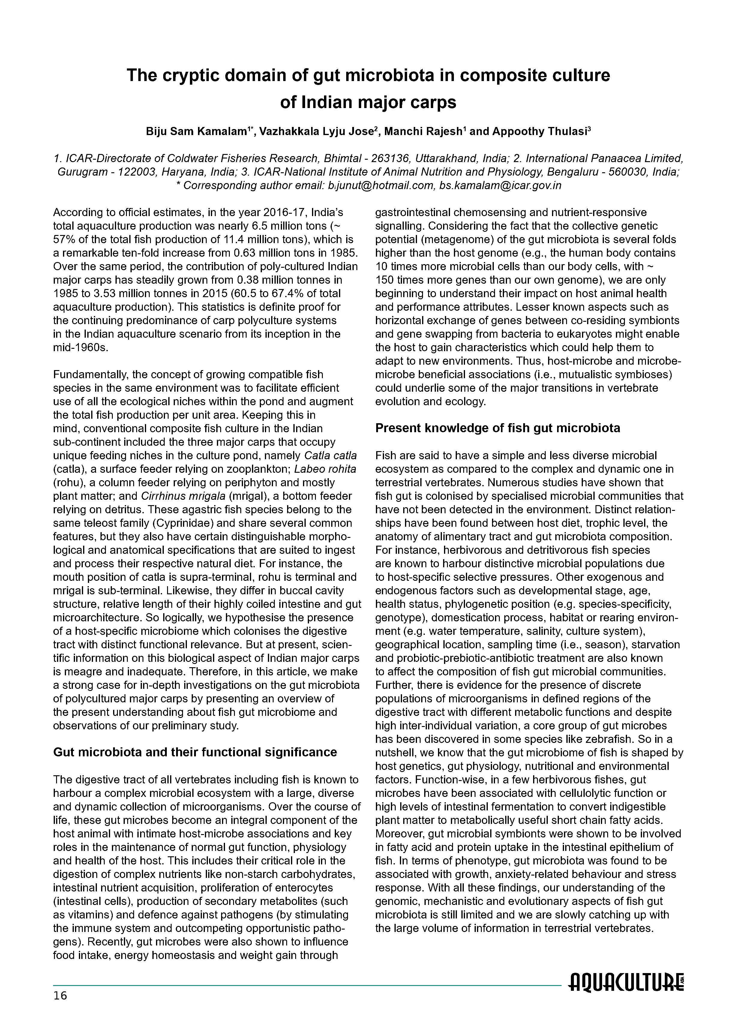 The cryptic domain of gut microbiota in composite culture of Indian ...