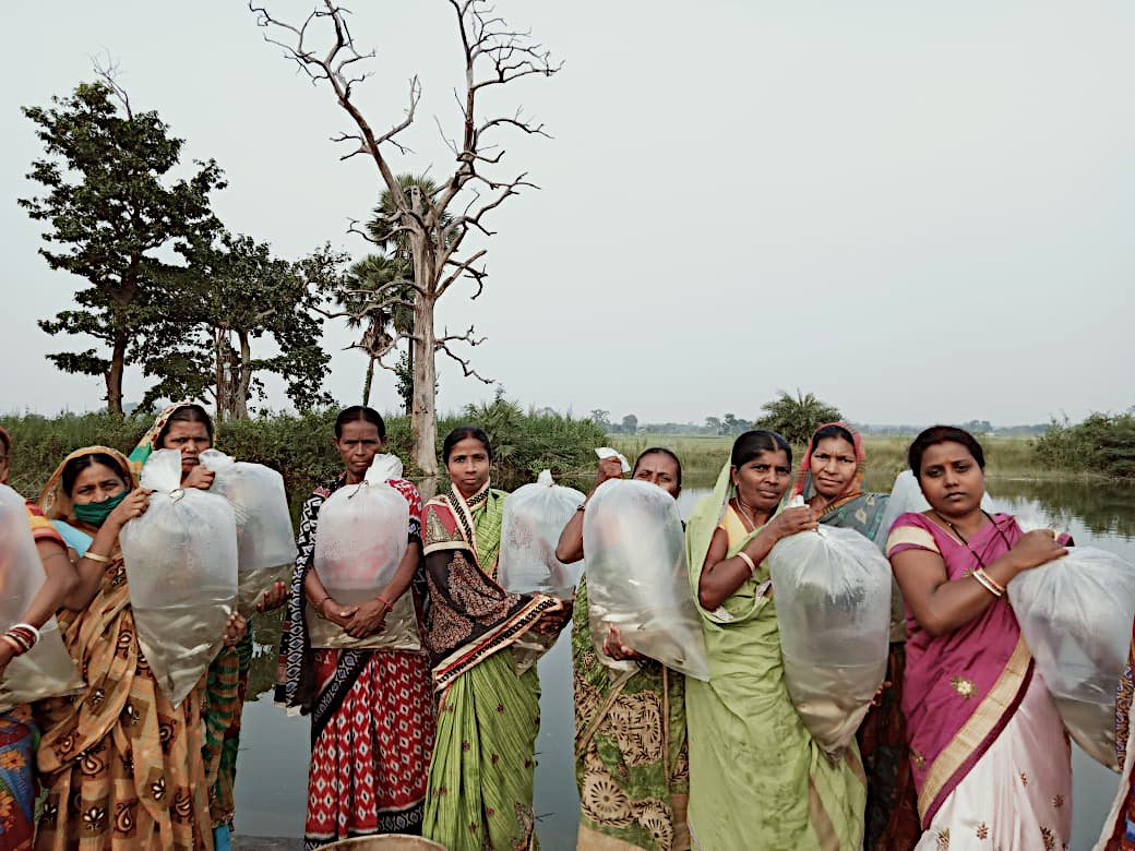 Expanding the horizon of aquaculture through women's empowerment