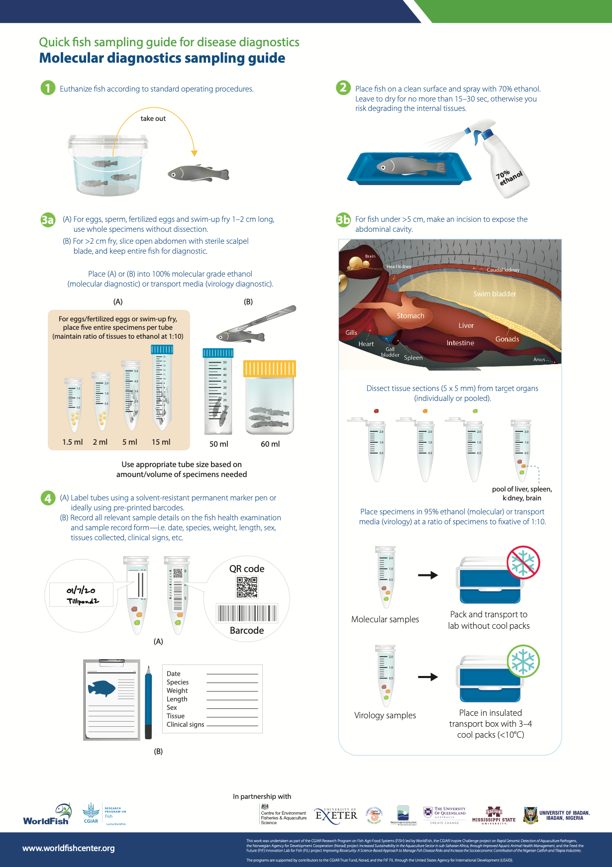 Quick fish sampling for disease diagnostics: Molecular diagnostics ...