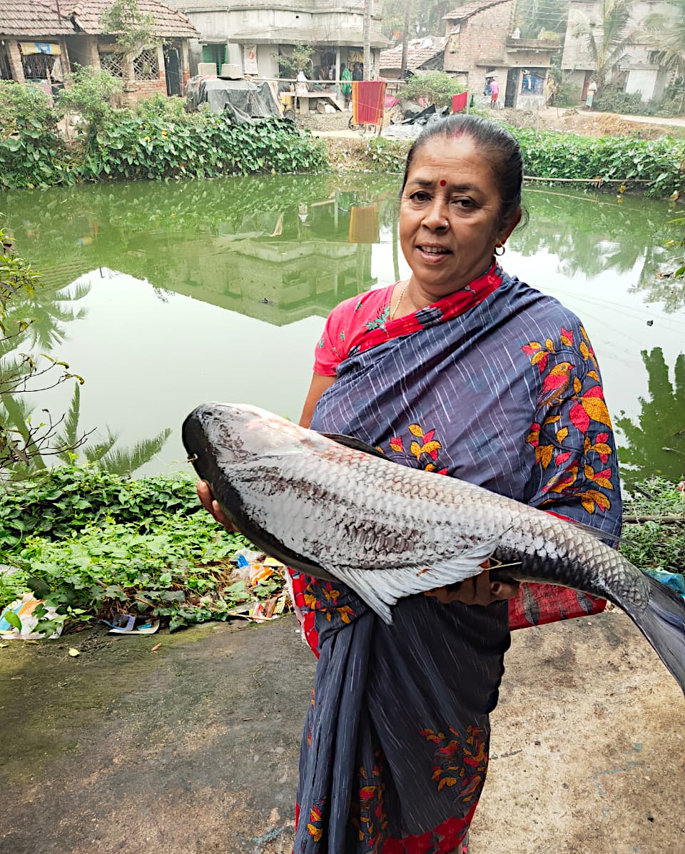 Progressive women carp farmers of Haldia, Purba Medinipur, West Bengal ...