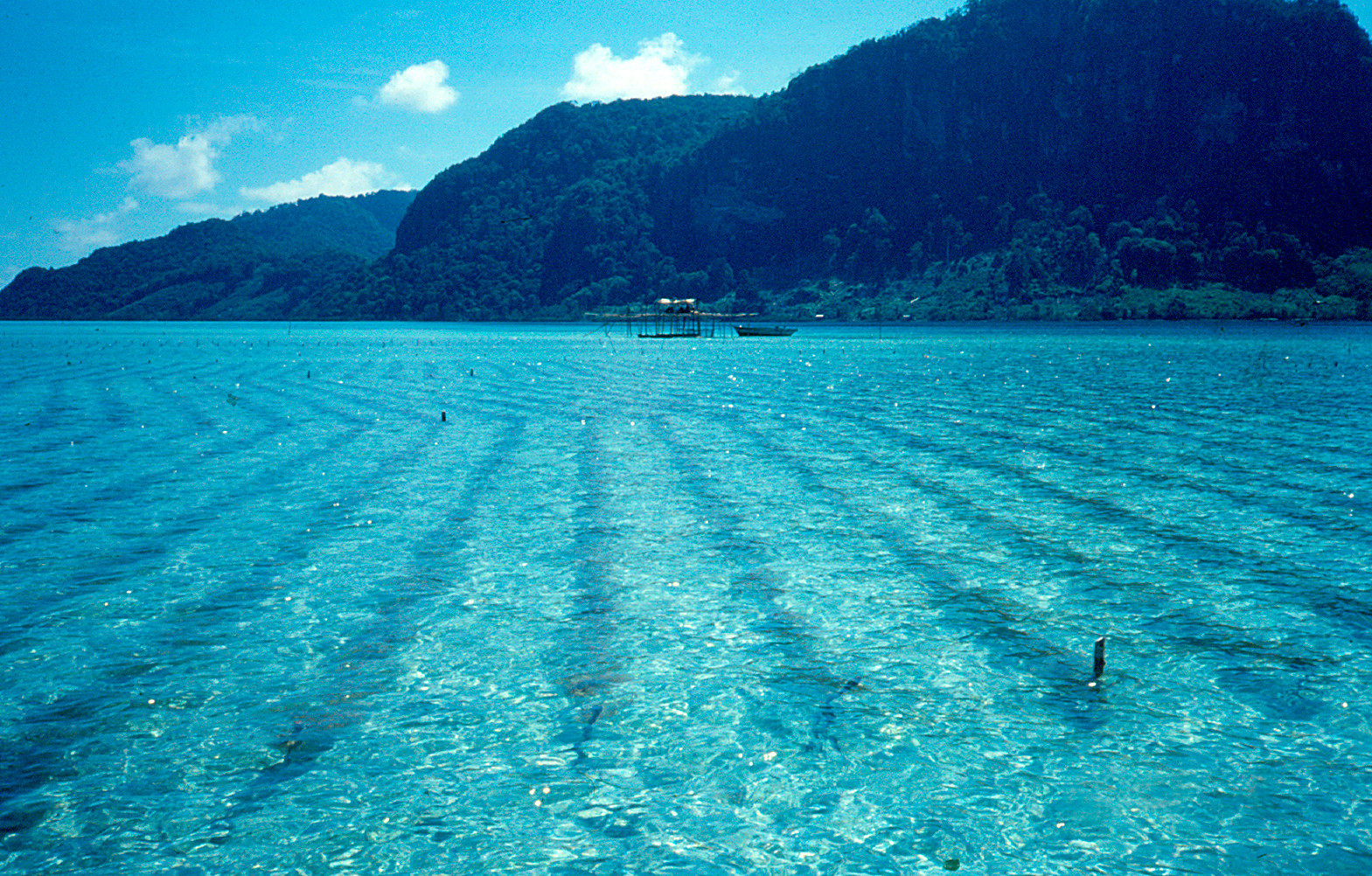 Knowledge brokering for nature-based solutions in aquaculture and ...