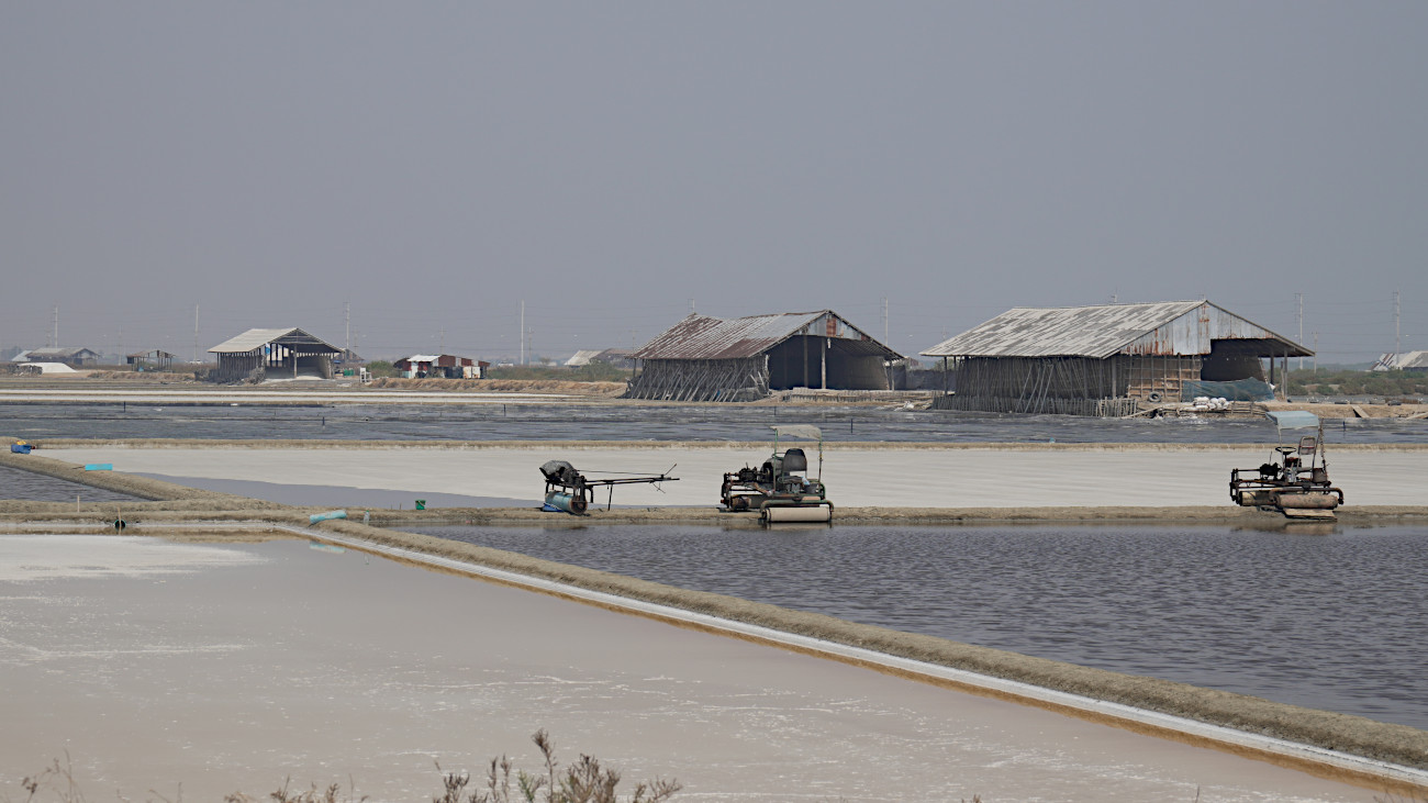 Inland saline aquaculture: Prospects and challenges